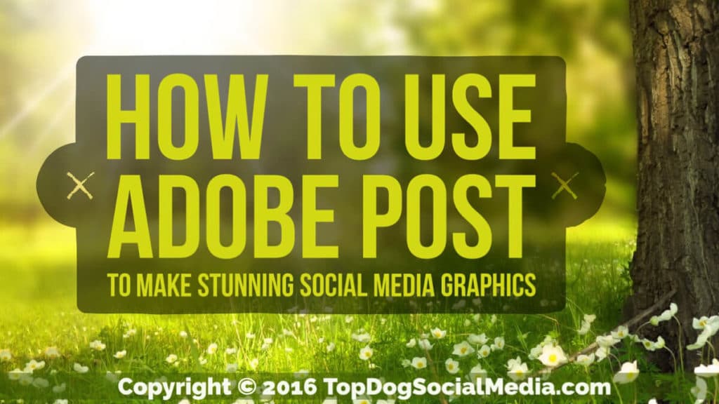 Adobe Post: How To Make Stunning Social Media Graphics