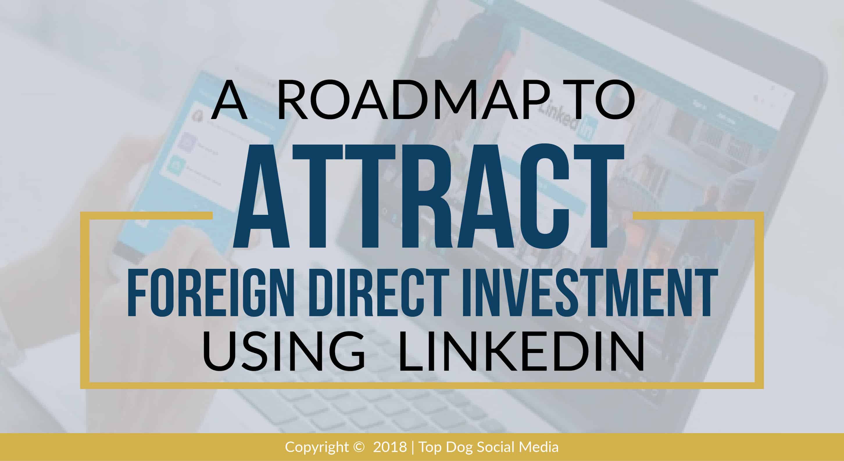 A Roadmap to Attract Foreign Direct Investment Using LinkedIn